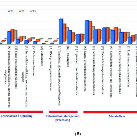 detailed cog functional classification in differentially expressed