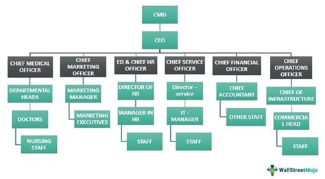 Organizational Structure Definition And Examples