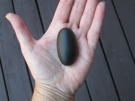 Rare Black Shiva Lingam Stone~narmada River India~banalinga Stone