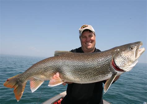 Best Lake Trout Lures Of 2023 Tested And Reviewed Outdoor Life