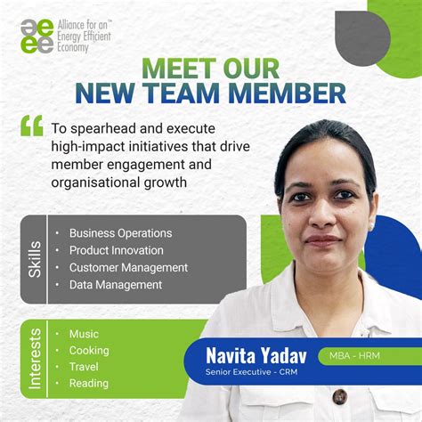 Aeee Rise Alliance For An Energy Efficient Economy Aeee