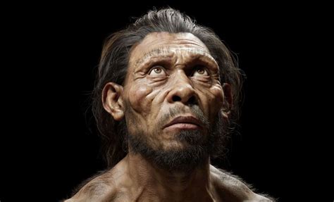 Fața Umanității Din Trecut De La Hobbit La Neanderthal Strămoșii