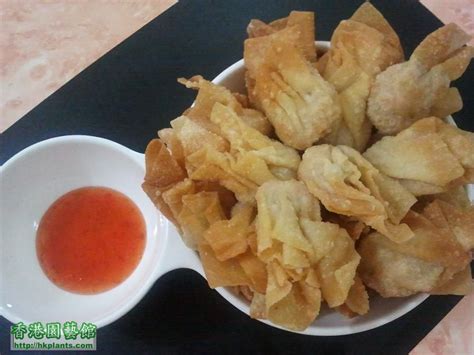 炸雲吞 講飲講食 香港園藝館 Powered By Discuz