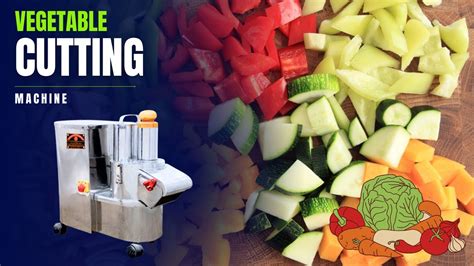 Introducing The Ultimate Vegetable Cutting Tool Machine Youtube