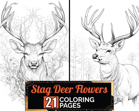 Buck Deer Coloring Pages