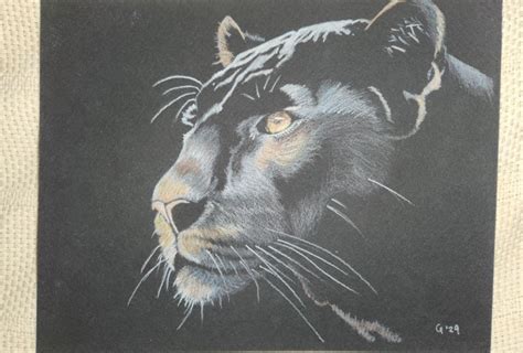 Colored Pencils Drawing Black Panther On Black Paper 2 Colors