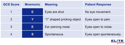 Glasgow Coma Scale Gcs What It Is Interpretation Chart 49 Off