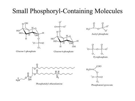 Ppt Phosphoryl Transfer Powerpoint Presentation Free Download Id