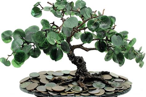 Money Tree With Chinese Coins A Traditional Feng Shui Symbol For