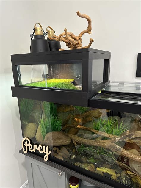 Custom Built Turtle Basking Loft Topper For 75g Tank Rturtle