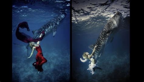Model Model Ini Berpose Bersama Hiu Paus