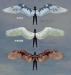 Winged People Anatomy Muscles By Blue Hearts On Deviantart Art
