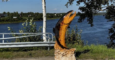 Raini Kalablogi Lapimaa 14 15 August 2024