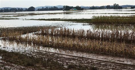 Call To Extend Flood Aid Boundary To More Cessnock Suburbs Newcastle Herald Newcastle Nsw
