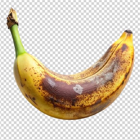 Banana With A Thick Layer Of Mold Isolated On White Background