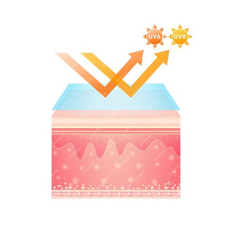 Premium Vector Uv Protection Your Skin Ultraviolet Sunblock Lotion