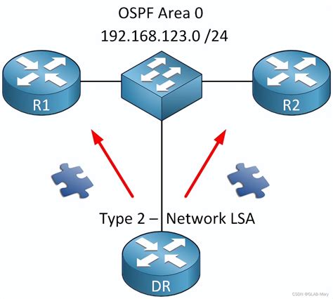 一文带你了解ospf 七种lsa类型，很全！ 7类lsa csdn博客