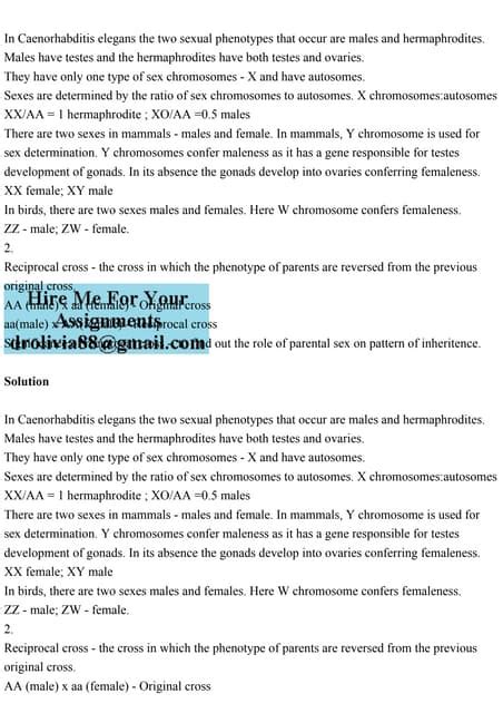 Iupac Name 1 Ethoxy 2 Methylpropane Other Name Pdf