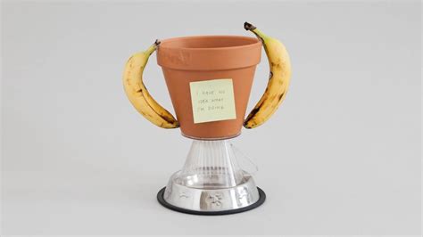 Ineke Winters Op Linkedin Bang Om Door De Mand Te Vallen Ik Ook