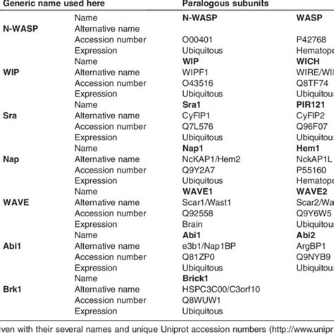 Activation Cycle Of The Wave Complex The Wave Complex Is Inactive In