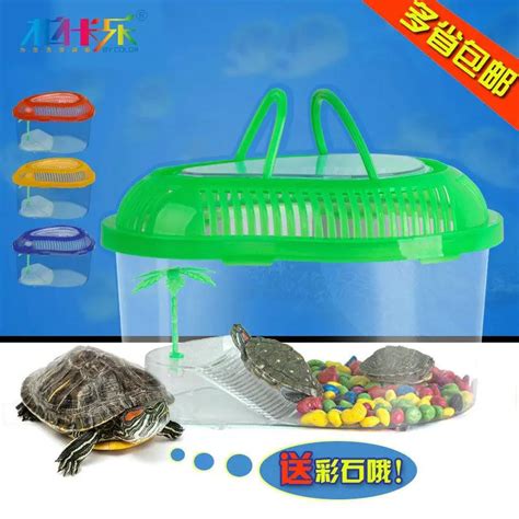 Wow Look At The Shell Rot On That Thing Scrolller