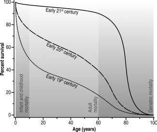 Survival Curves For Populations In Developed Nations At Various Points