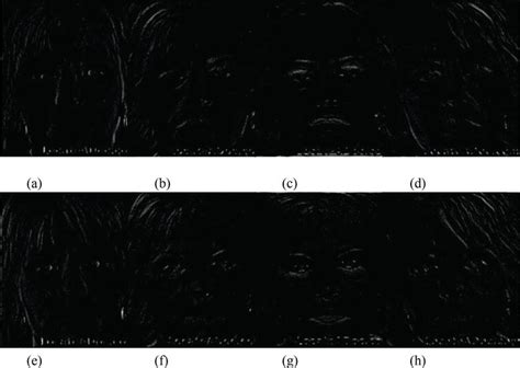 Granular Approach For Recognizing Surgically Altered Face Images Using