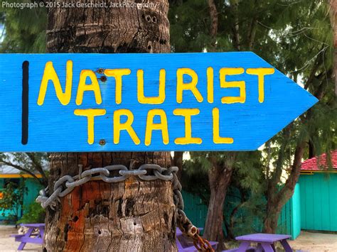 Naturist Trail Treespirit Project Raising Awareness Of The Critical
