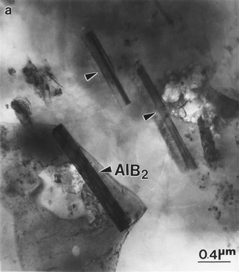 Tem Micrographs Showing Reaction Product Alb 2 A Bf And B Sadp