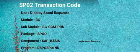 Tcode For Spool Request In Sap