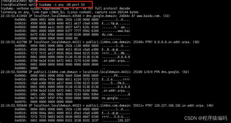 Linux下cc实现dns查询（dns Query）cdns Csdn博客