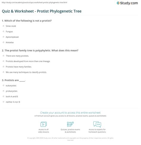Quiz And Worksheet Protist Phylogenetic Tree