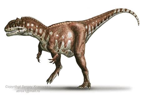 Majungasaurus Facts And Figures