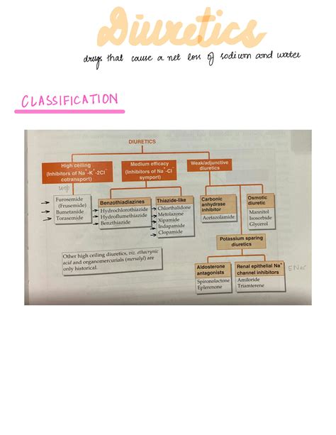 Solution Nursing And Medical Pharmacology Renal Drugs Diuretics