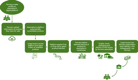 Collaborative Selling As A Market Access Model For Female Farmers