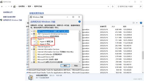 Vmware Workstation 与 Devicecredential Guard 不兼容在禁用 Devicecredentivmware Workstations 禁用基于虚拟化