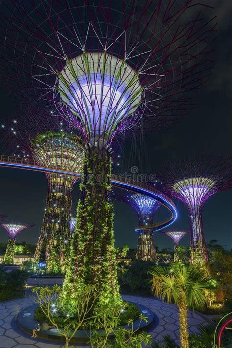 Gardens By The Bay Singapore Editorial Photo Image Of Beautiful