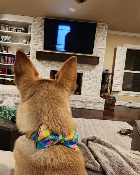 Andrew Postell Finn Really Perked Up At The Final Scene