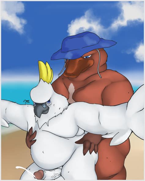 Rule 34 Anal Anal Sex Anthro Avian Balls Beach Beak Belly Big Belly