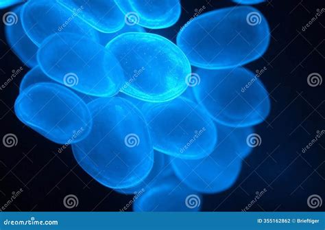 Blue Glowing Algae Cells Captured Under Microscope Stock Illustration Illustration Of Marine