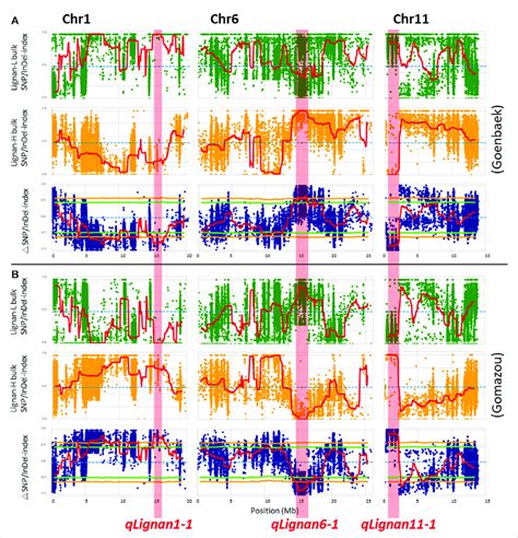 Qtl Seq Analysis For The Identification Of Major Effect Qtls