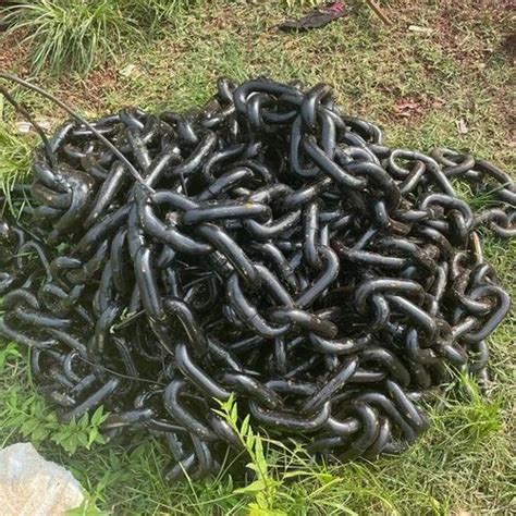 Black Conveyor Chain Assembly For Commercial At ₹ 300piece In Bhilai
