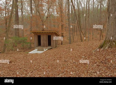 Old Outside In The Woods An In Ground Spring Fed White Baptistry Small