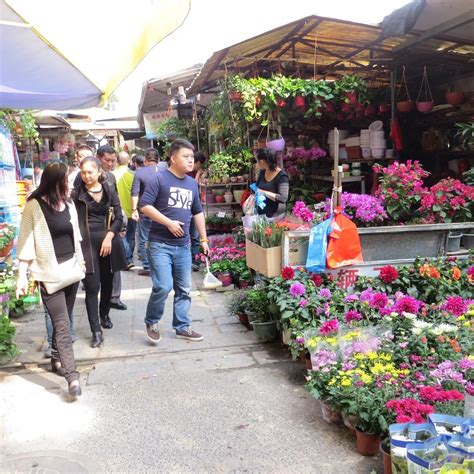 Pi Shi Street Bird And Flower Market 2025 All You Need To Know