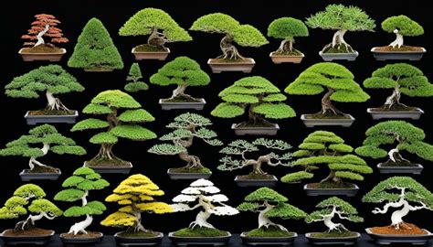 Mastering Bonsai Tree Species Identification