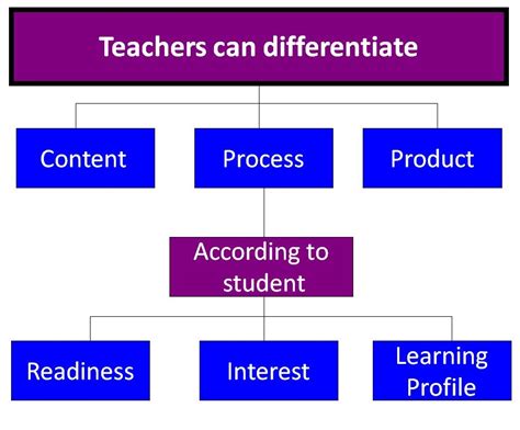 Week 2 Differentiated Model Summaries Learner Diversity