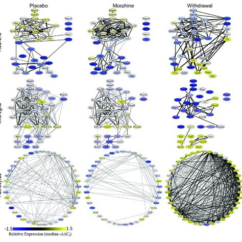 Gene Correlation Networks Pearson Correlation Was Performed On The