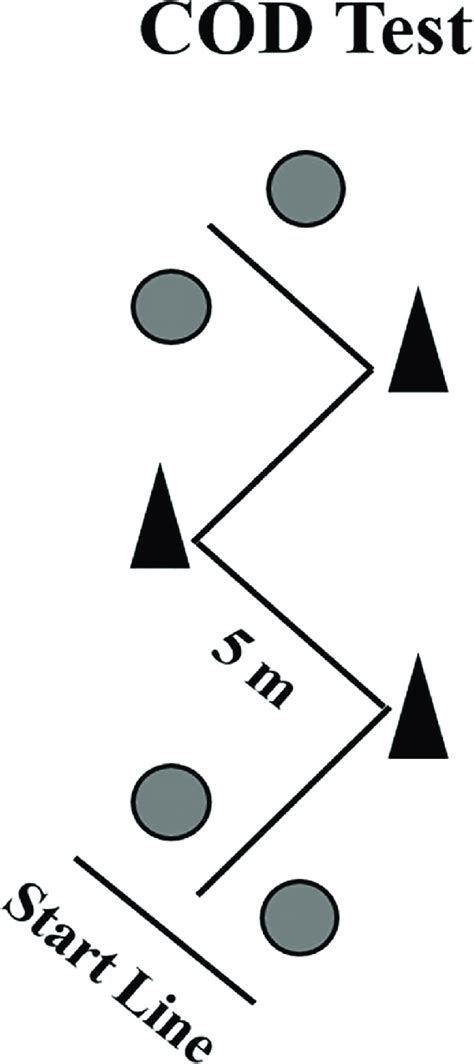 A Schematic Presentation Of The Zig Zag Cod Speed Test The Grey