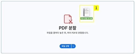 pdf 수정 프로그램 애크로뱃으로 파일 분할 및 인쇄하기 adobe