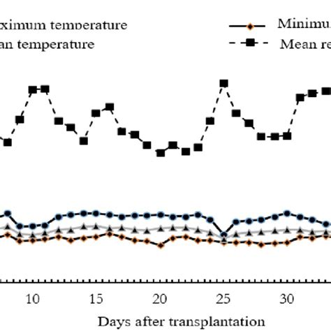 daily average values of minimum average and maximum temperatures and